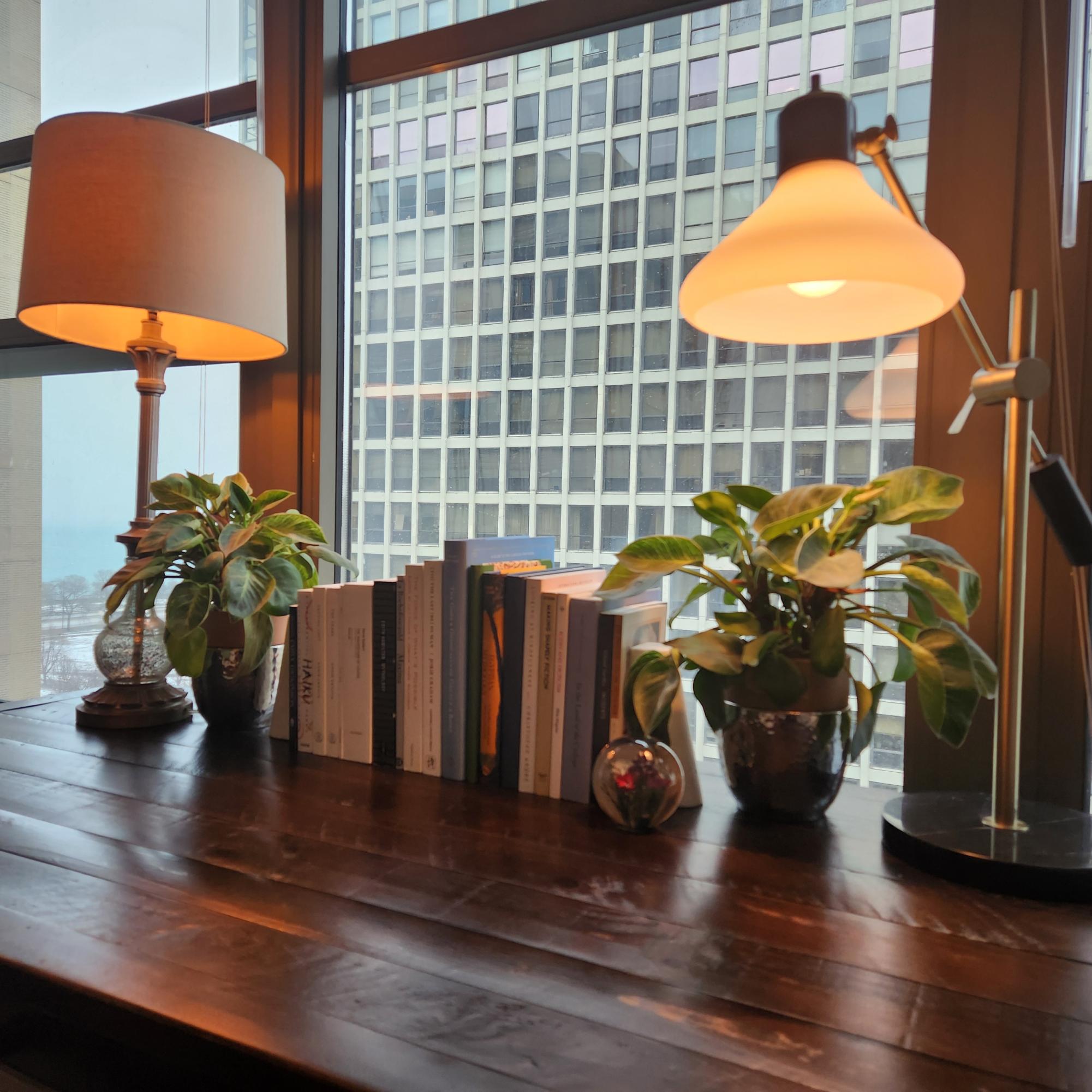 Photo Essay: A Day in the Life of Collegiate Assistant Professor Korey ...